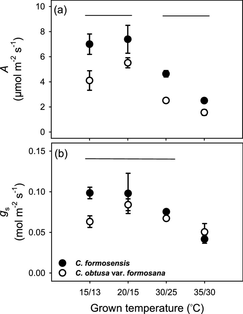 Assimilation in Biology Process, Types, Examples
