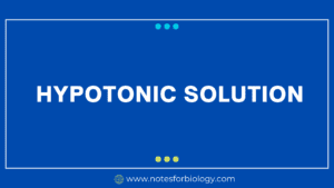 Hypotonic Solution