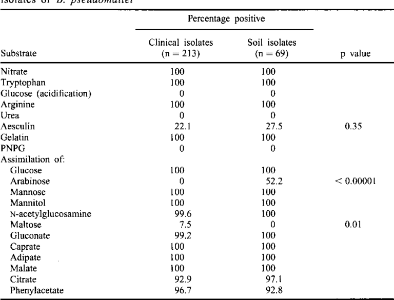 Biochemical Test of Burkholderia pseudomallei - Best Biology Notes ...