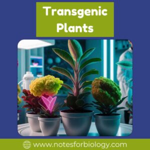 Transgenic Plants-Applications, Benefits, Examples