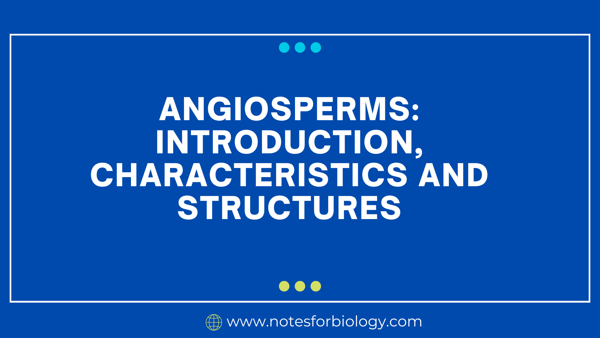 Angiosperms Introduction Characteristics And Structures