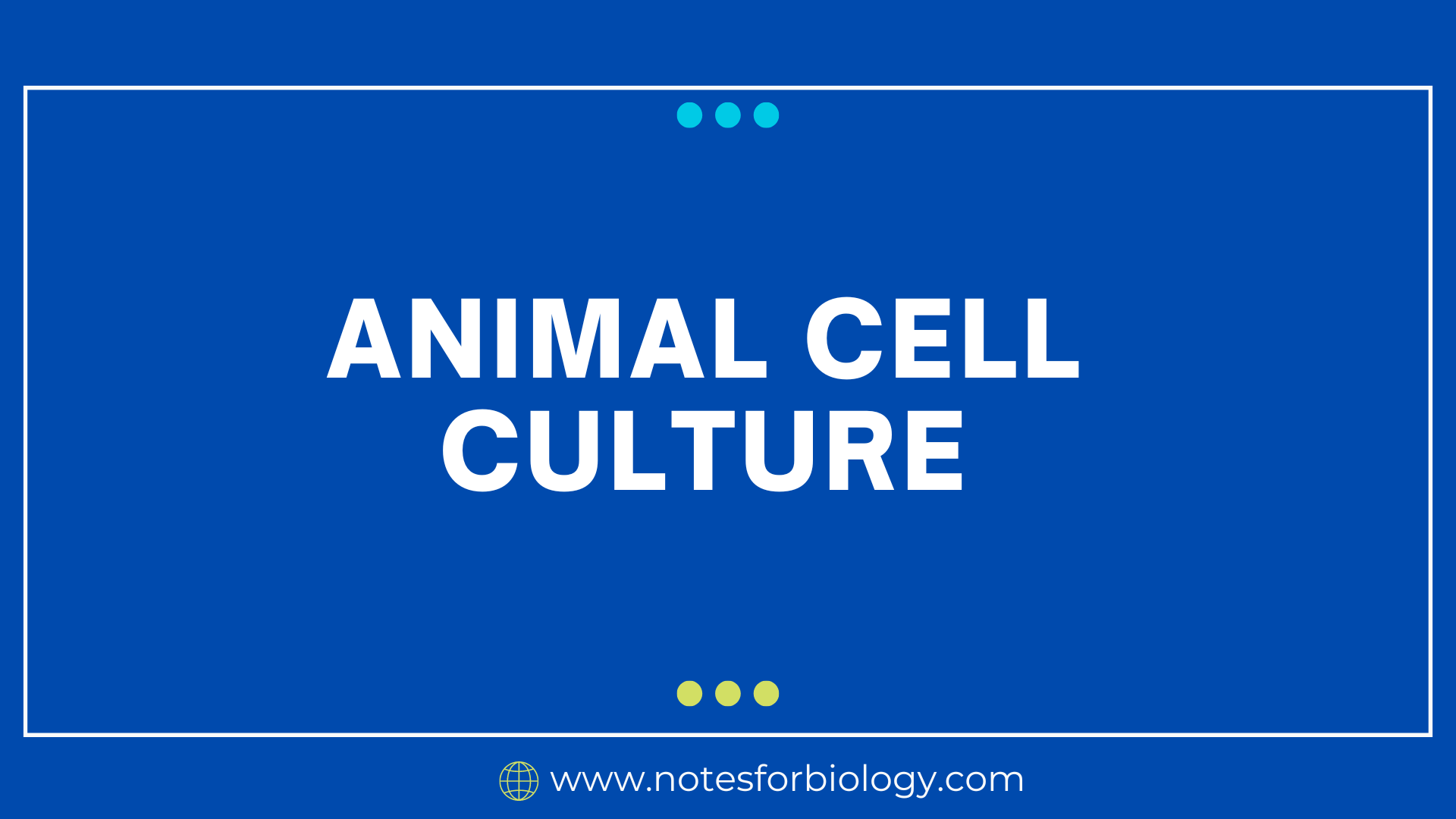 Animal Cell Culture- Definition, Types, Cell Lines, Procedu