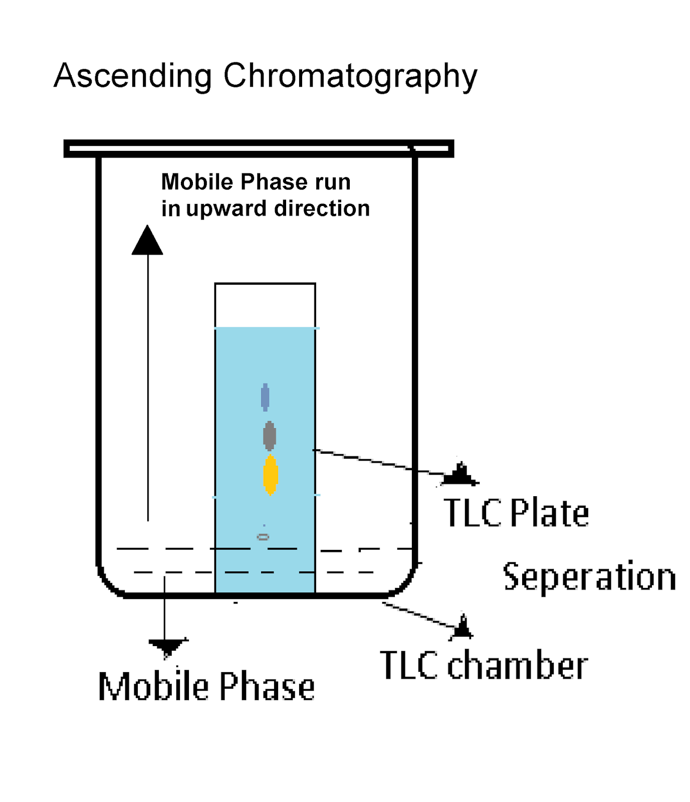 Paper chromatography – Principle, Procedure, types and...