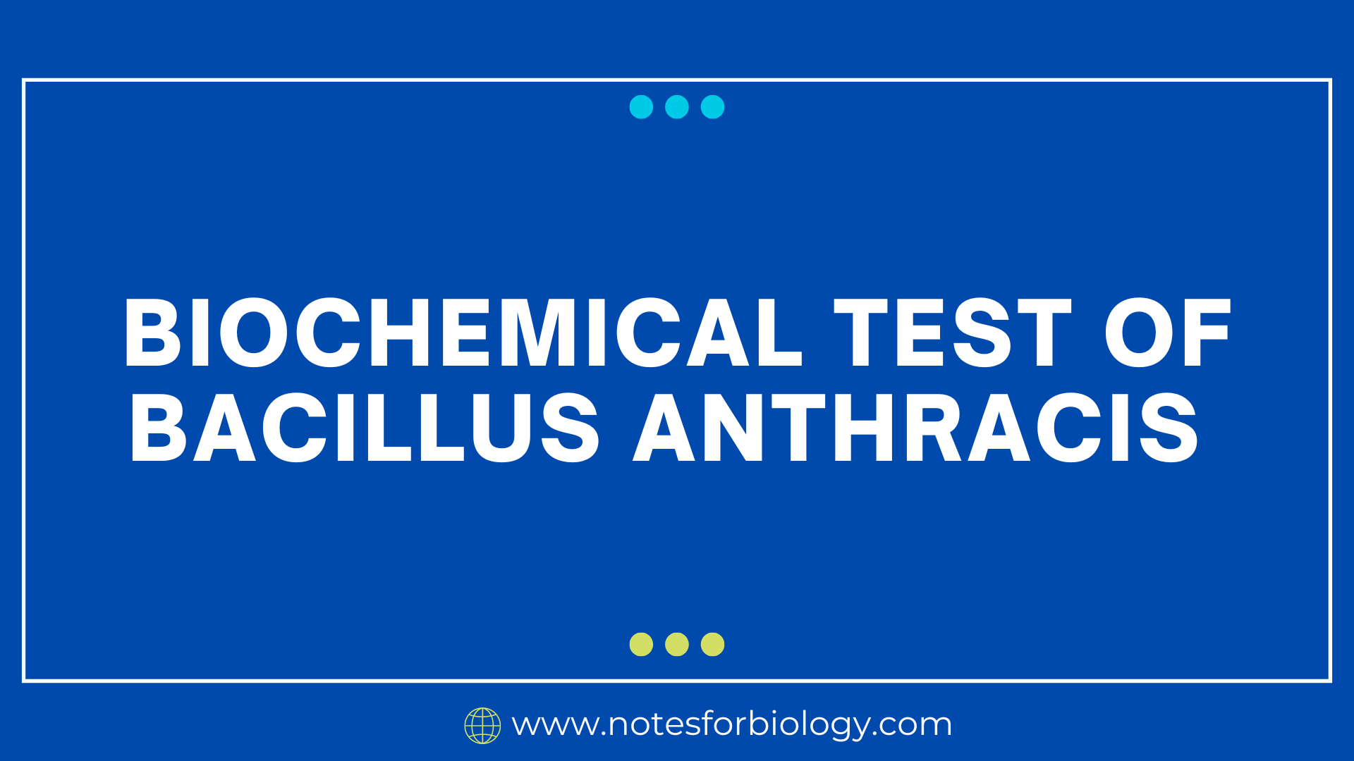Bacillus Anthracis Biochemical Test