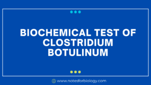 Clostridium botulinum- Biochemical Test