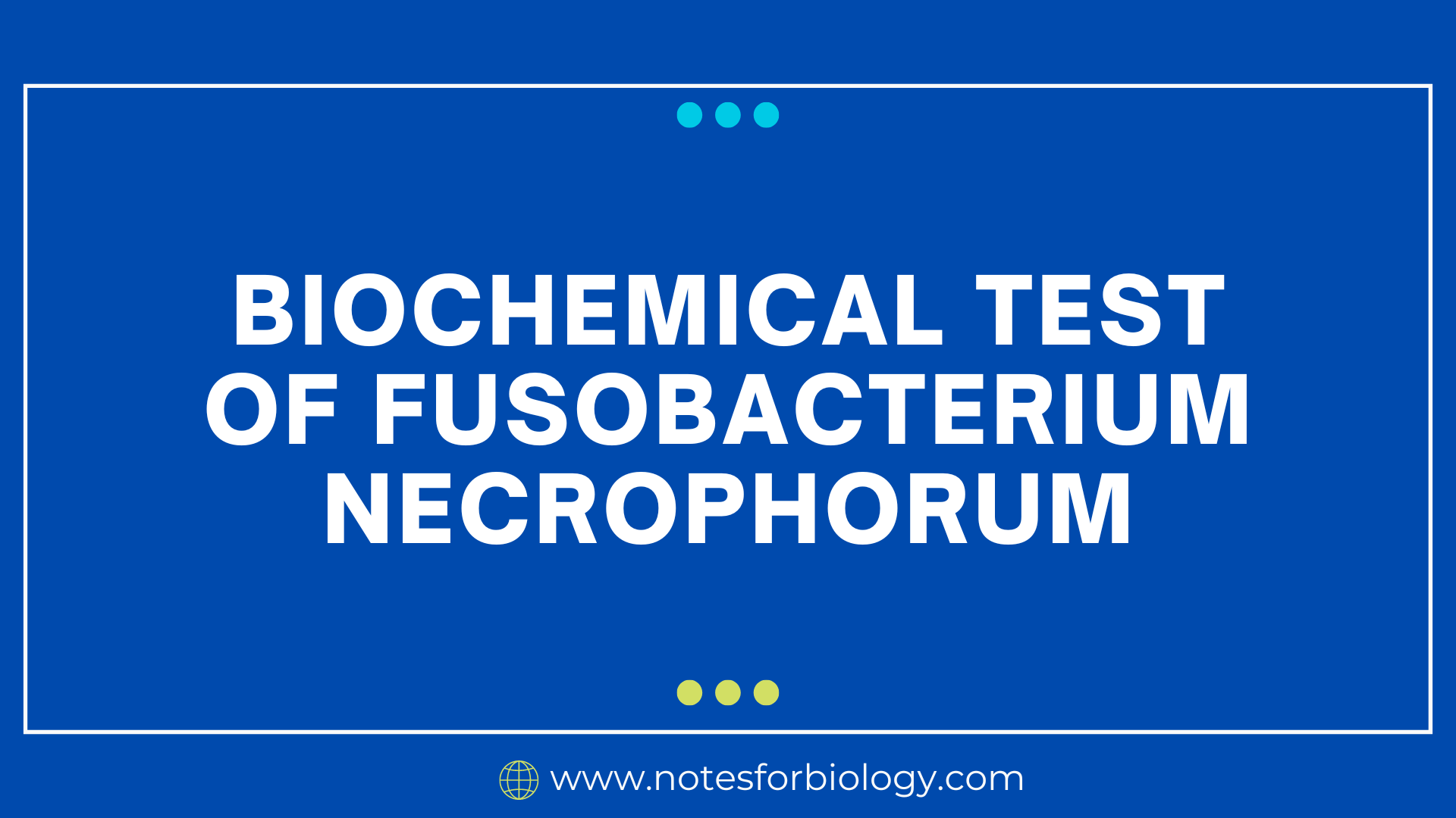 Shigella flexneri-Biochemical Test