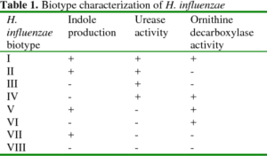 Biochemical Test of Haemophilus influenzae - Best Biology Notes ...