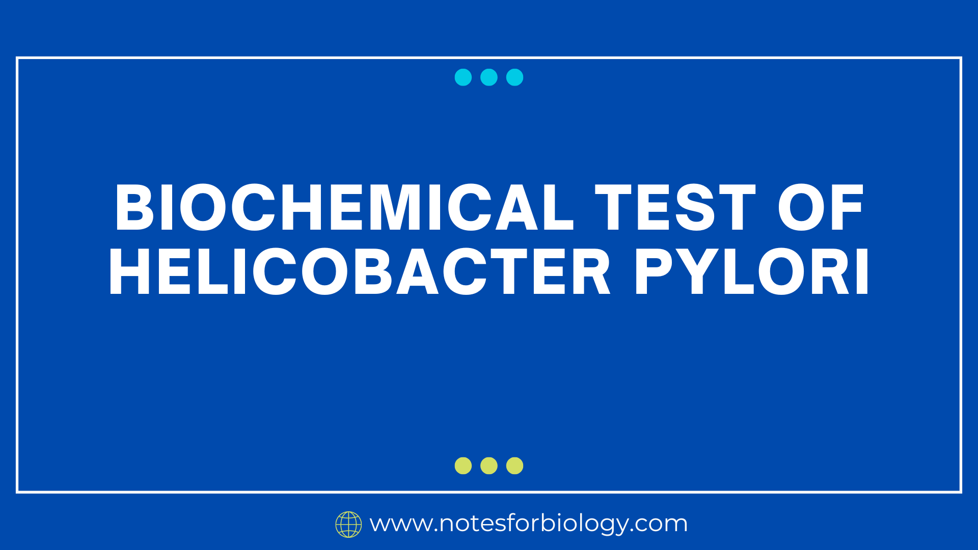 Helicobacter Pylori Biochemical Test