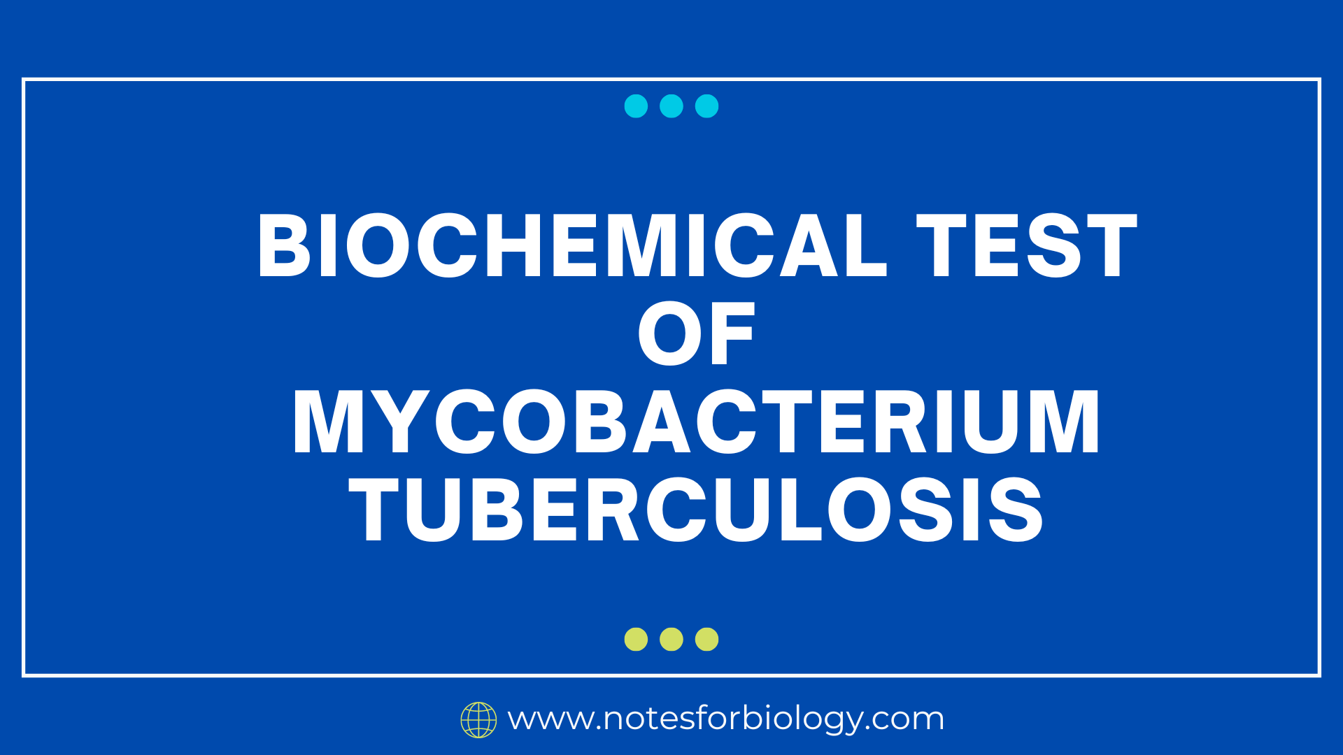 Biochemical Test Of Mycobacterium Tuberculosis