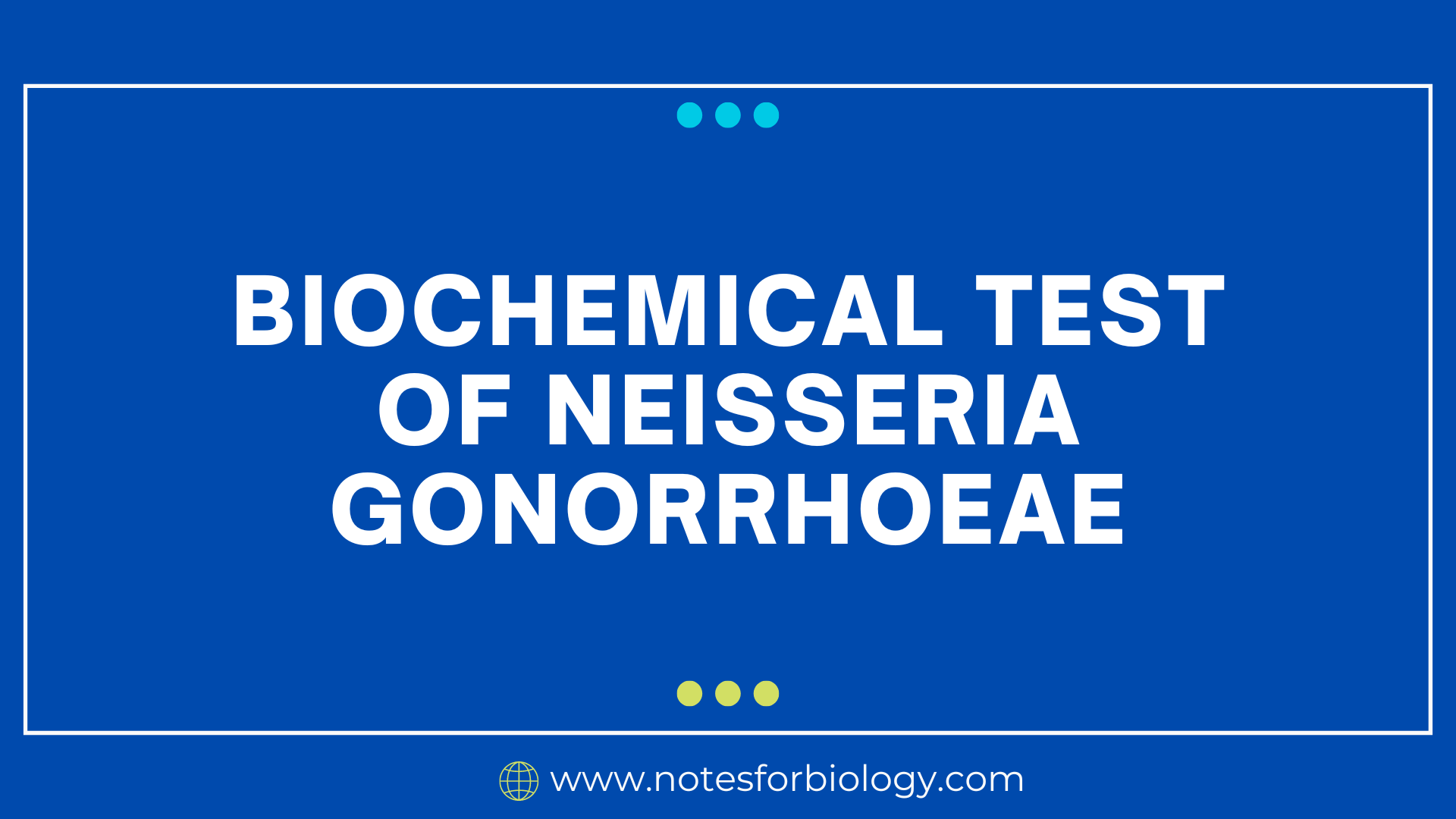 Neisseria gonorrhoeae- An overview