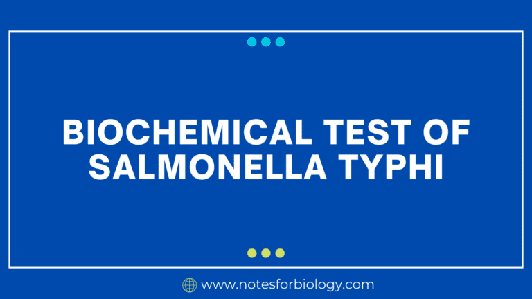 Salmonella Typhi- Biochemical Test