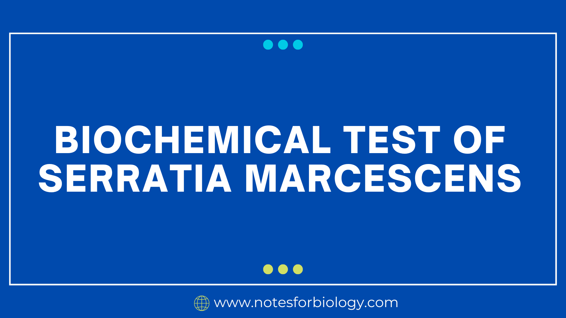 Biochemical Test of Serratia marcescens Biochemical Test of Serratia marcescens