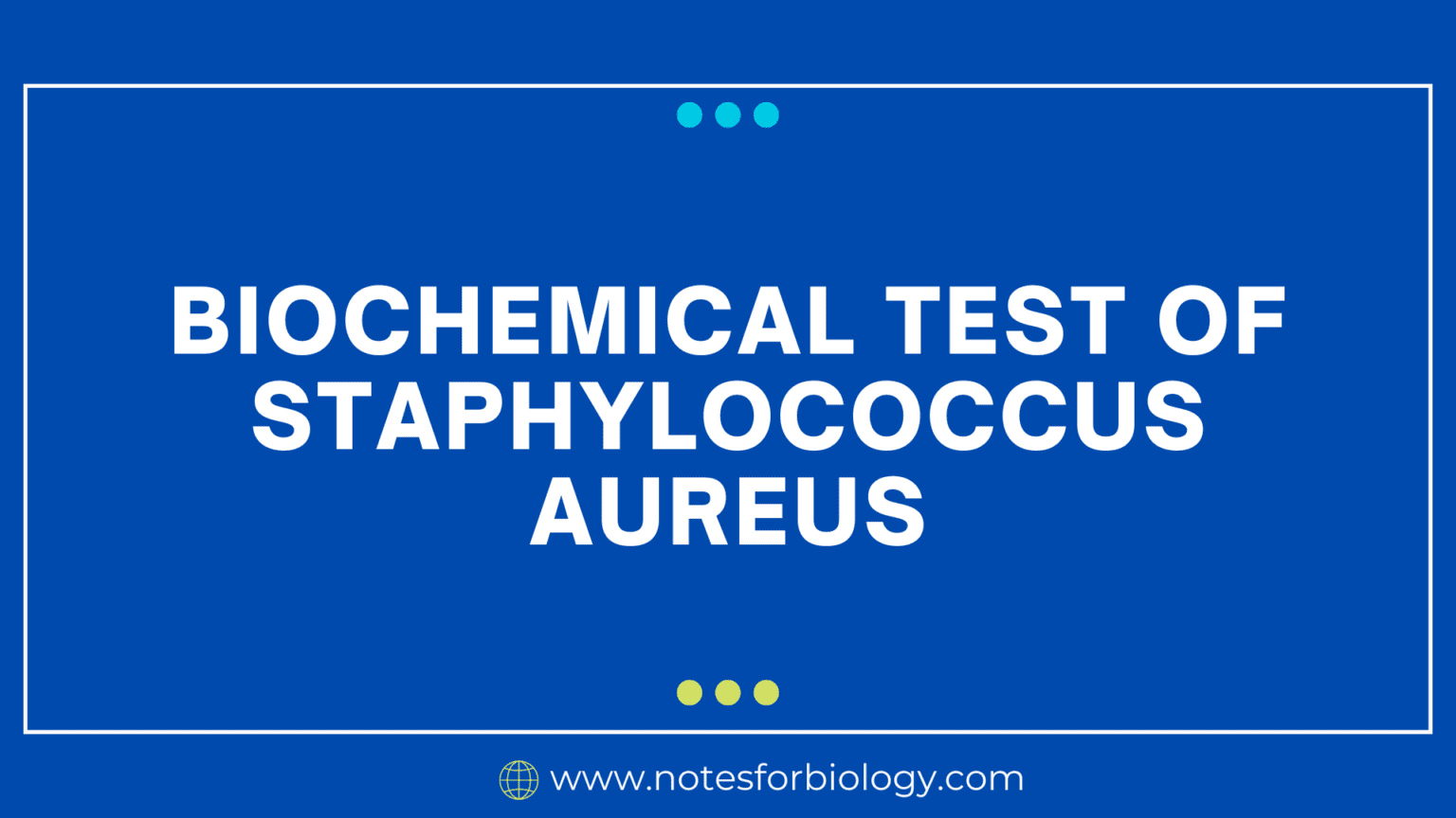 Staphylococcus aureus - Biochemical Test Staphylococcus aureus - Biochemical Test