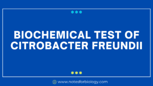 Citrobacter freundii - Biochemcial Test
