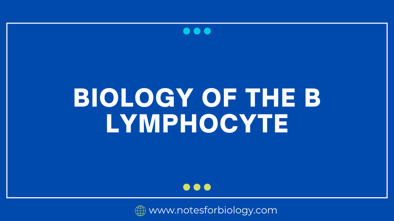 Biology of the B Lymphocyte