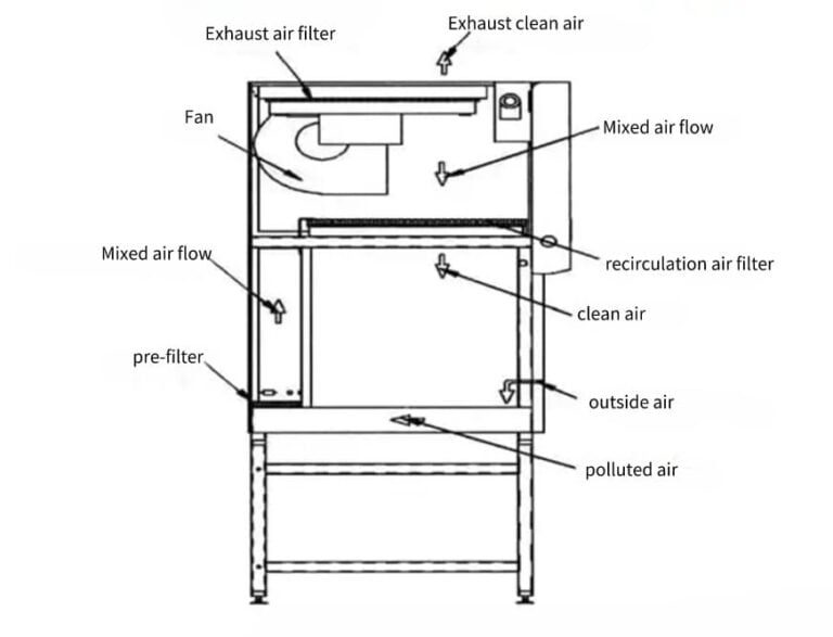 Biosafety Cabinets: Definition, Classes, and Types