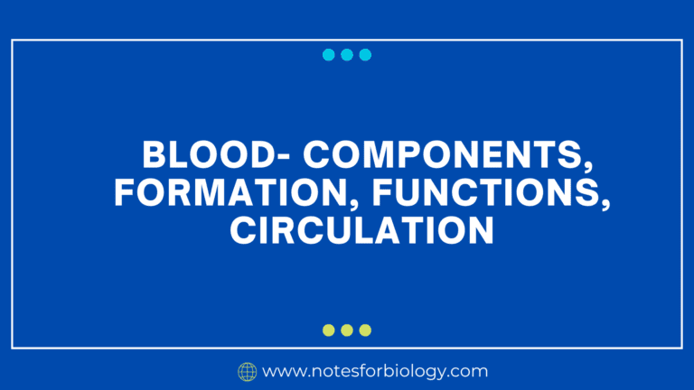 Blood- Components, Formation, Functions, Circulation