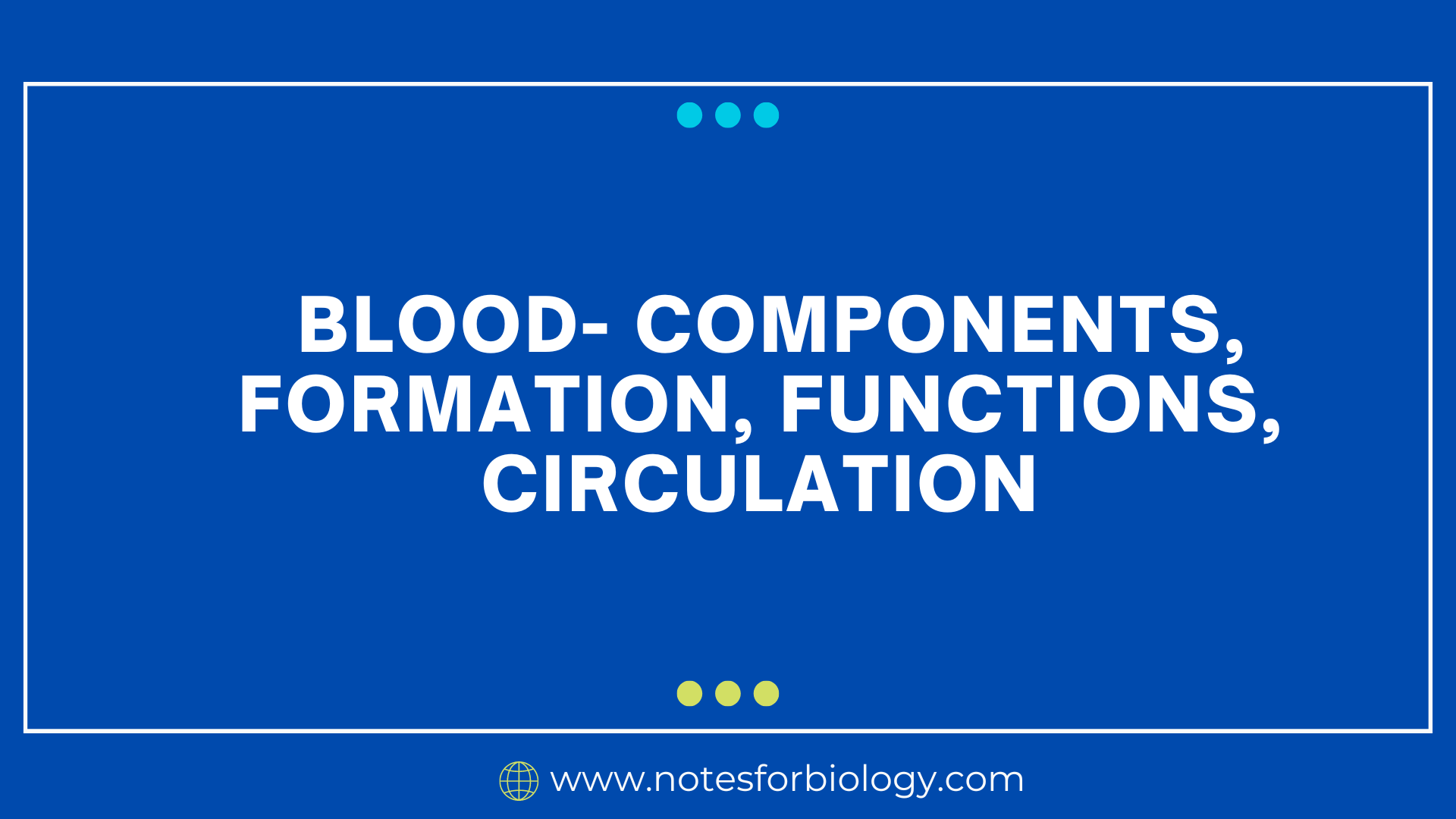 Blood- Components, Formation, Functions, Circulation Blood- Components, Formation, Functions, Circulation
