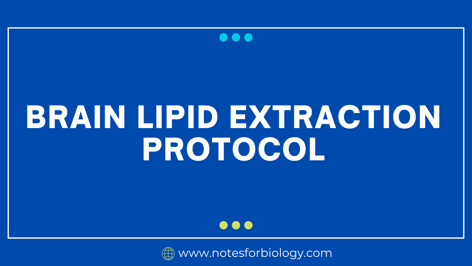 Brain Lipid Extraction Protocol Brain Lipid Extraction Protocol