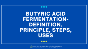 Butyric Acid Fermentation- Definition, Principle, Steps, Uses