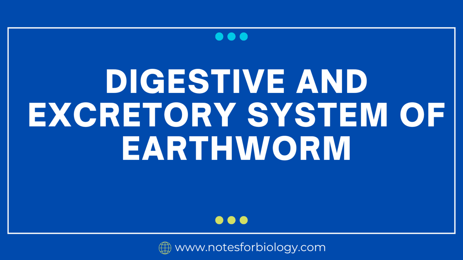 Earthworm: habit, habitat, external feature and morphology
