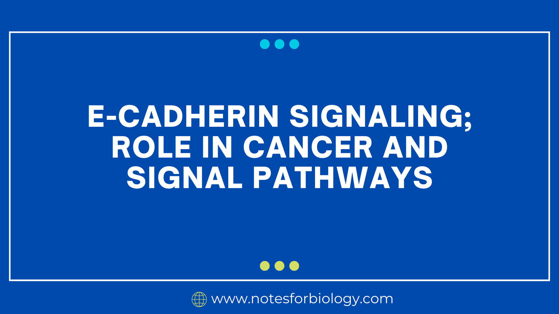 E Cadherin Signaling Role In Cancer And Signal Pathways