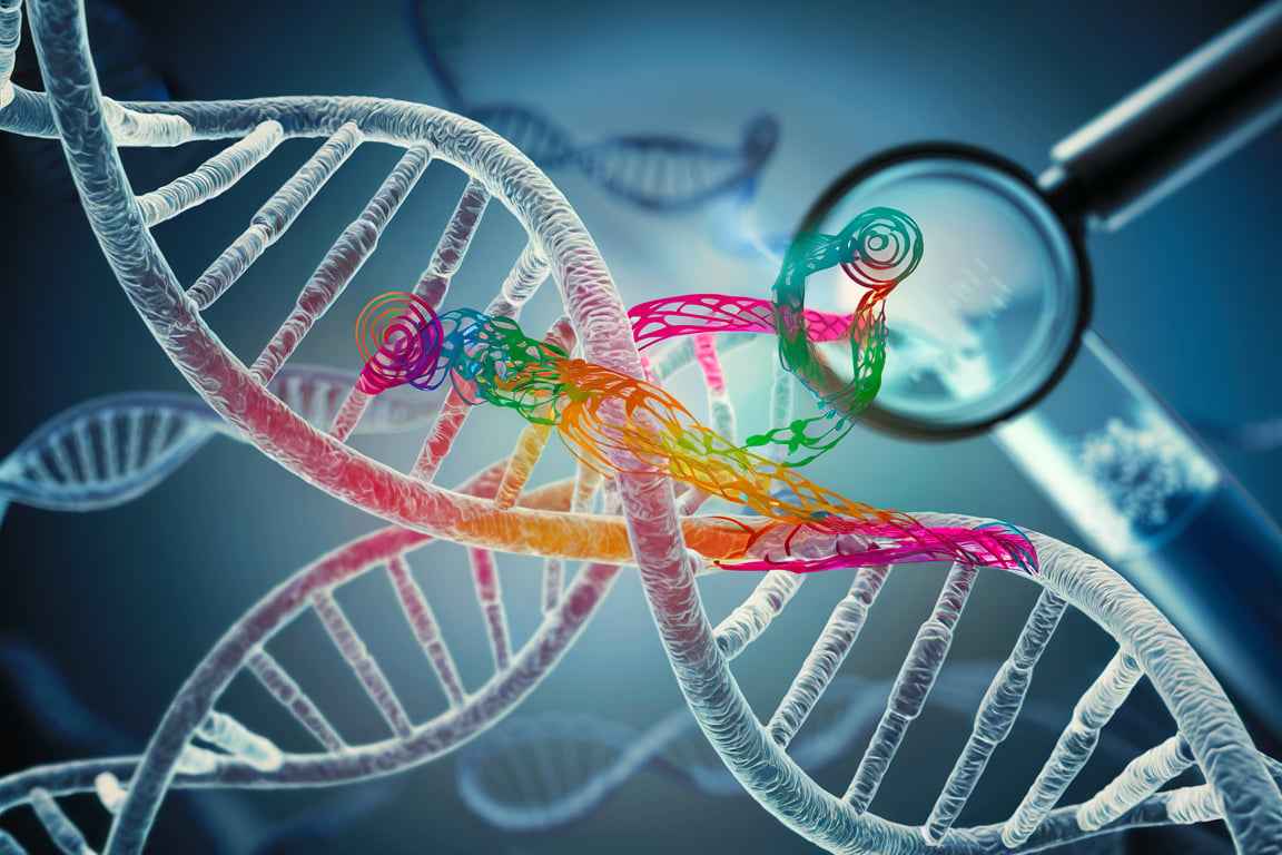 Epigenetics and its roles in plants biotechnology