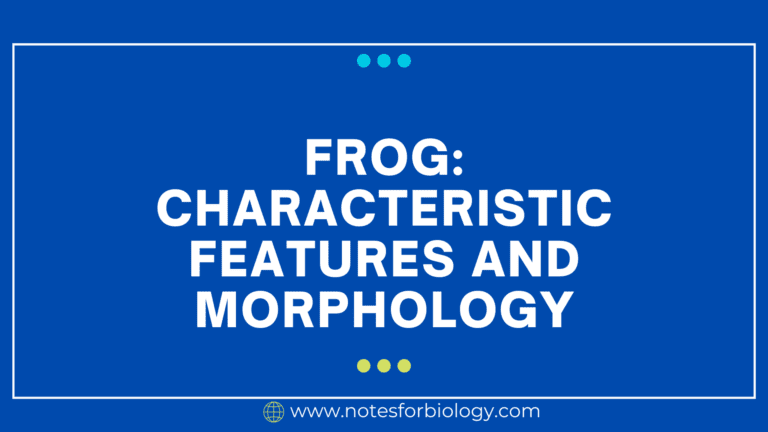 Frog: Characteristic features and morphology Frog: Characteristic features and morphology