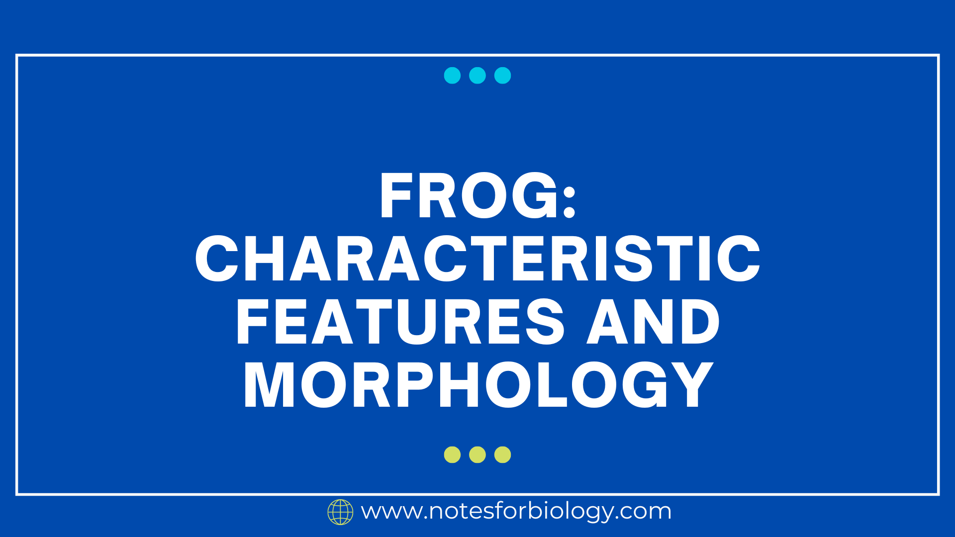 Frog: Characteristic features and morphology