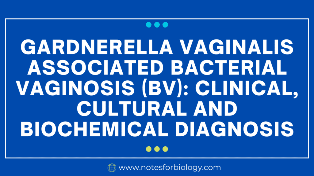 Gardnerella vaginalis associated Bacterial Vaginosis (BV)
