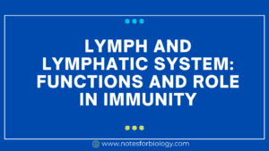 Lymph and Lymphatic system: functions and role in immunity