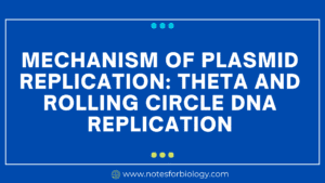 Plasmid replication Mechanisms - Theta and Rolling cycle