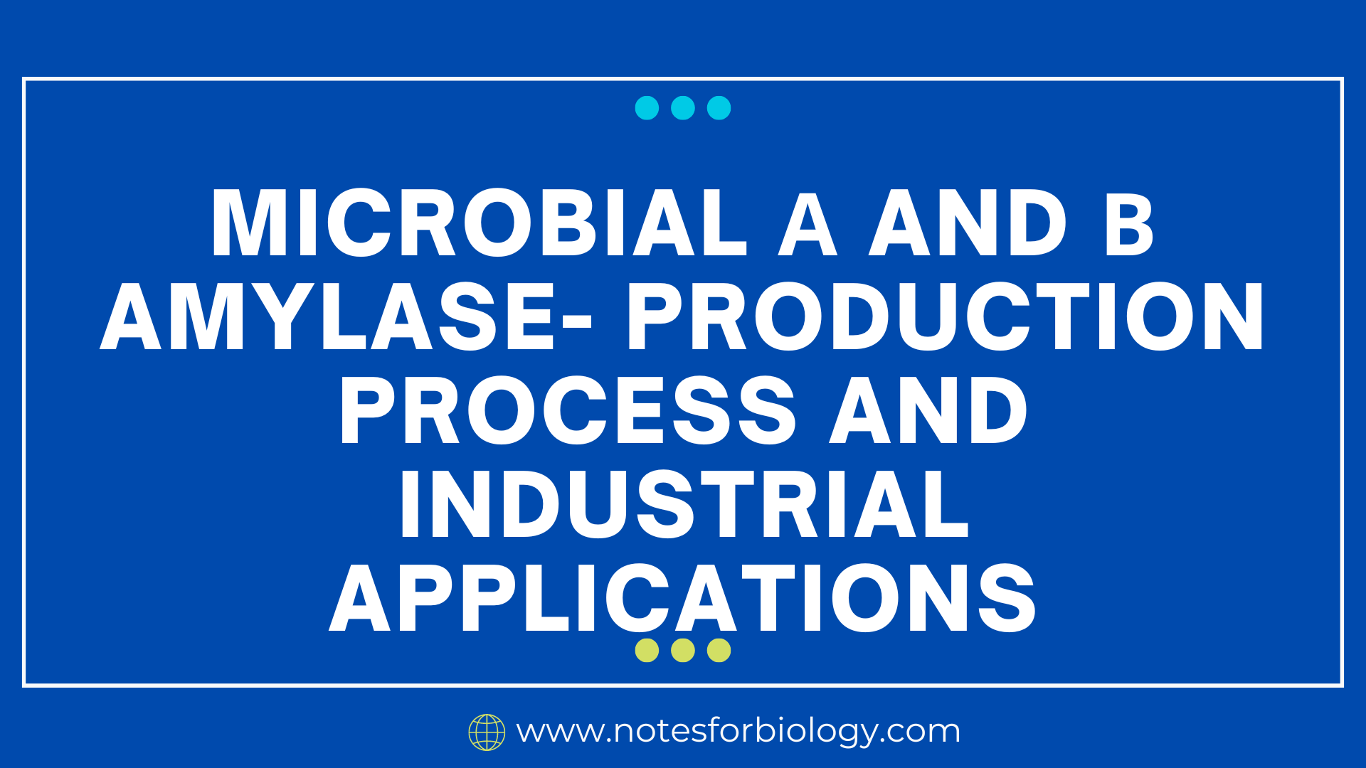 Microbial α and β amylase- Production process and...