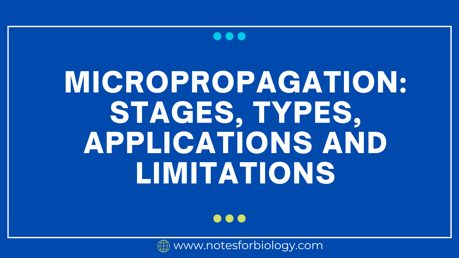 Micropropagation: stages, types, applications