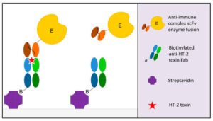 Clostridium botulinum- Biochemical Test