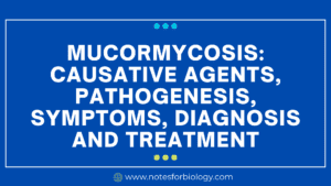 Mucormycosis: causative agents, pathogenesis, symptoms,