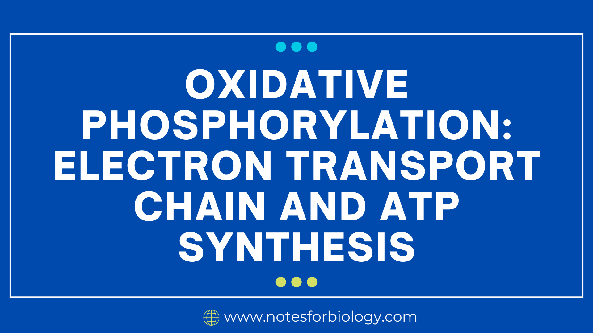 Oxidative phosphorylation: Electron transport chain and...
