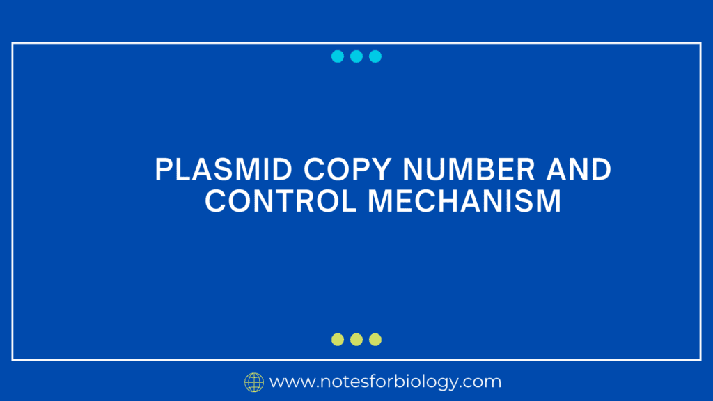 Plasmid copy number and control mechanism