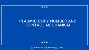 Plasmid copy number and control mechanism