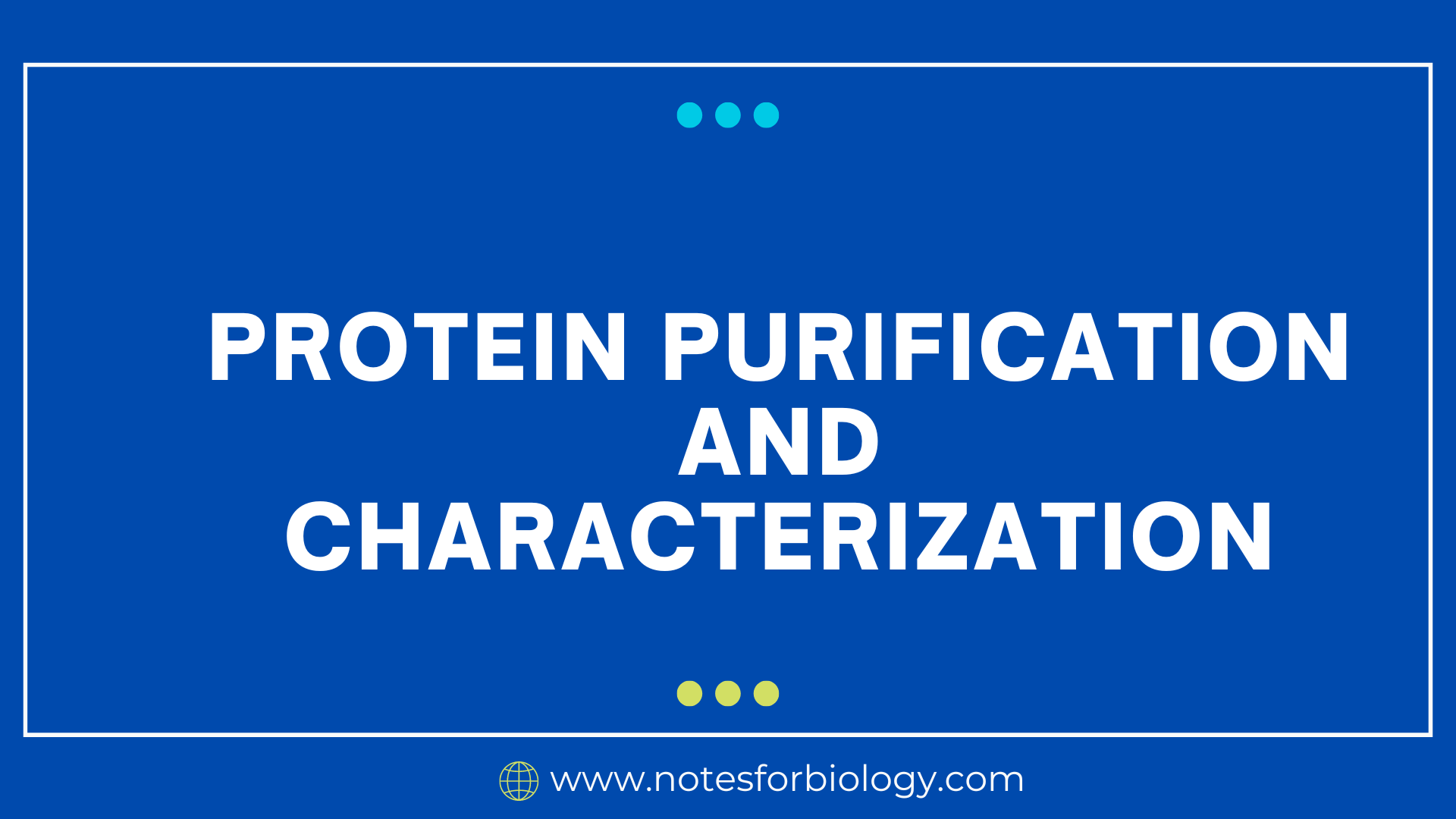 Protein purification and characterization Protein purification and characterization