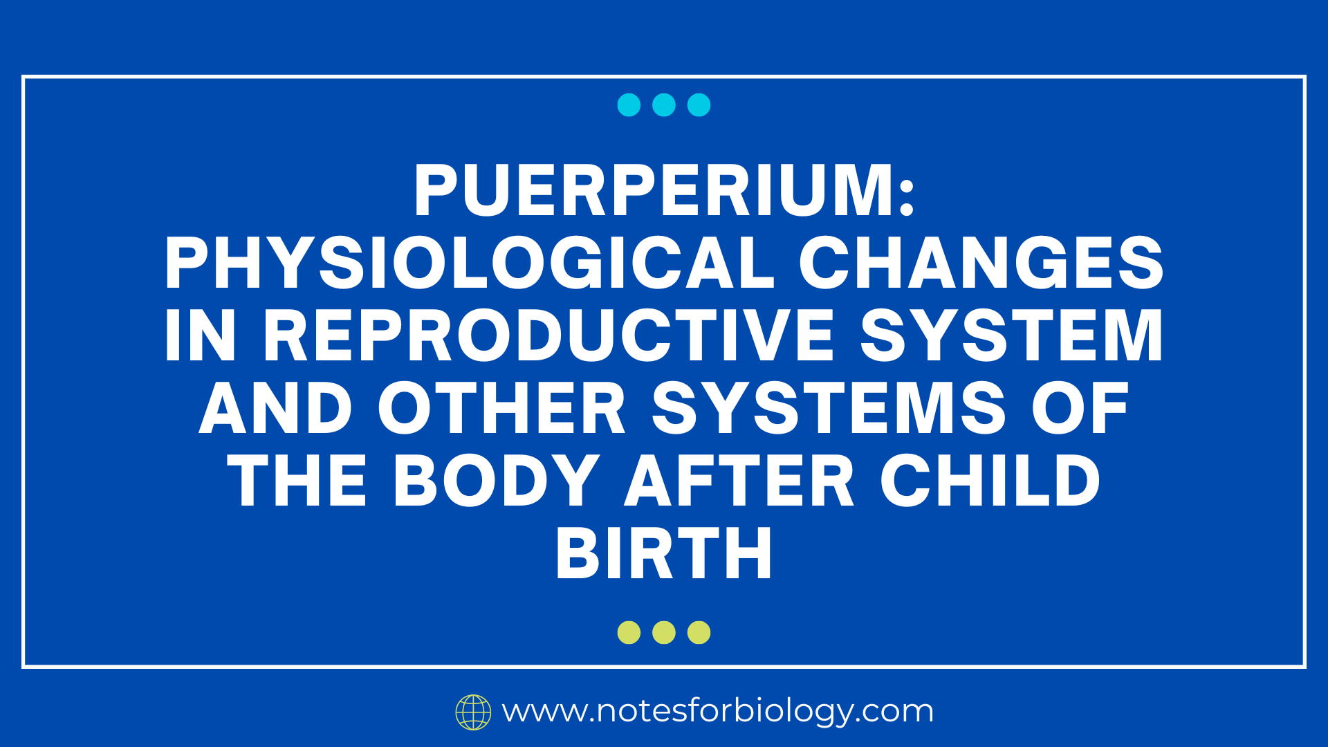 Puerperium: physiological changes in reproductive system