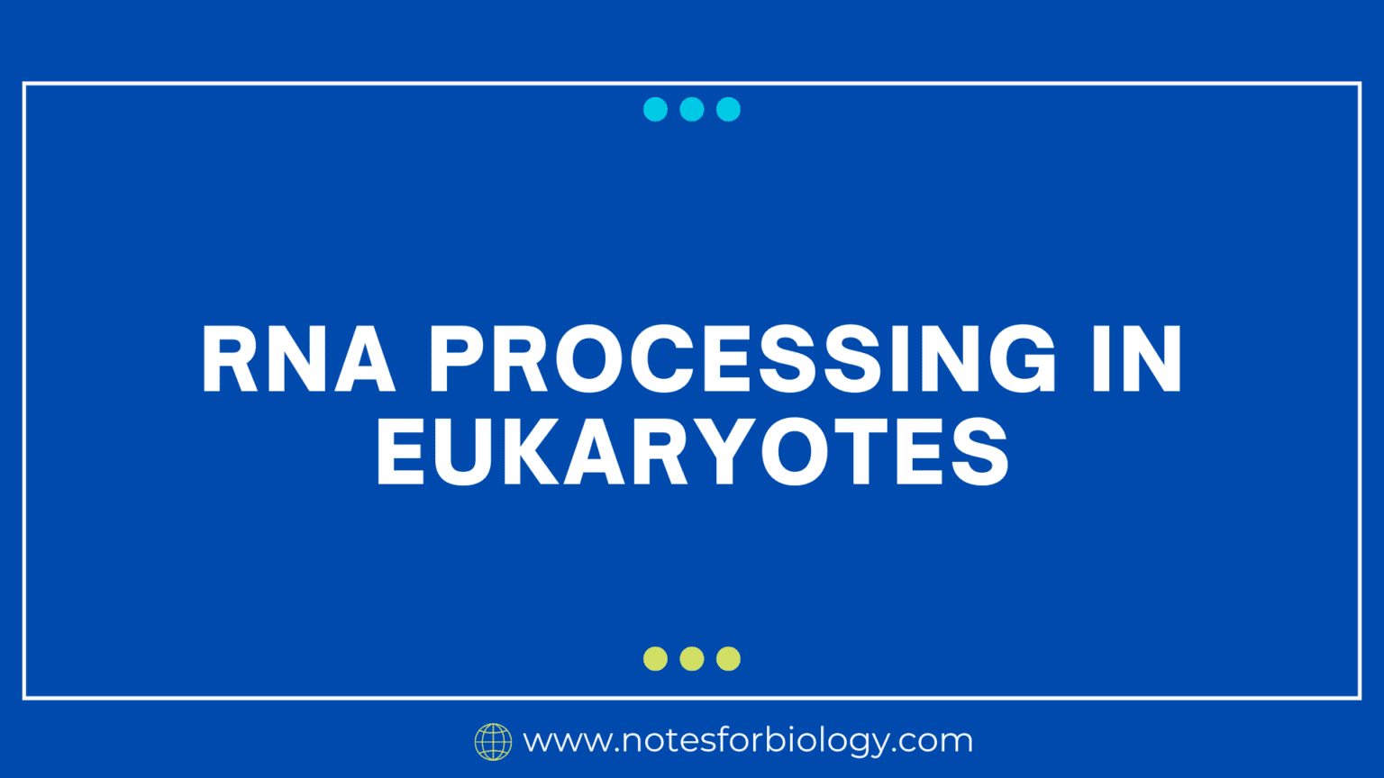 RNA Processing in eukaryotes - Best Biology Notes,...