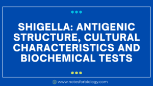 Shigella: antigenic structure, cultural characteristics