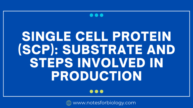 Single cell protein (SCP): Substrate and steps involved