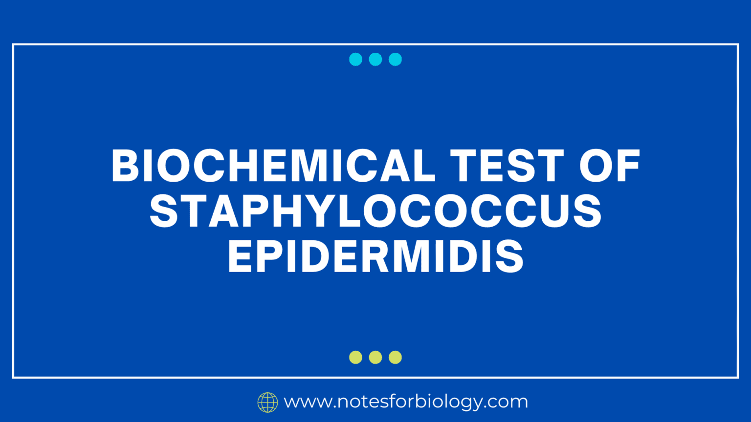 Biochemical Test of Staphylococcus epidermidis