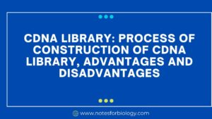 cDNA library: Process of construction of cDNA library