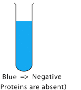 Biuret Test for Protein- Principle, Procedure, Results,
