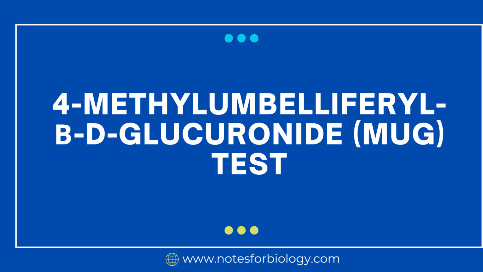 4-Methylumbelliferyl-β-D-Glucuronide Test