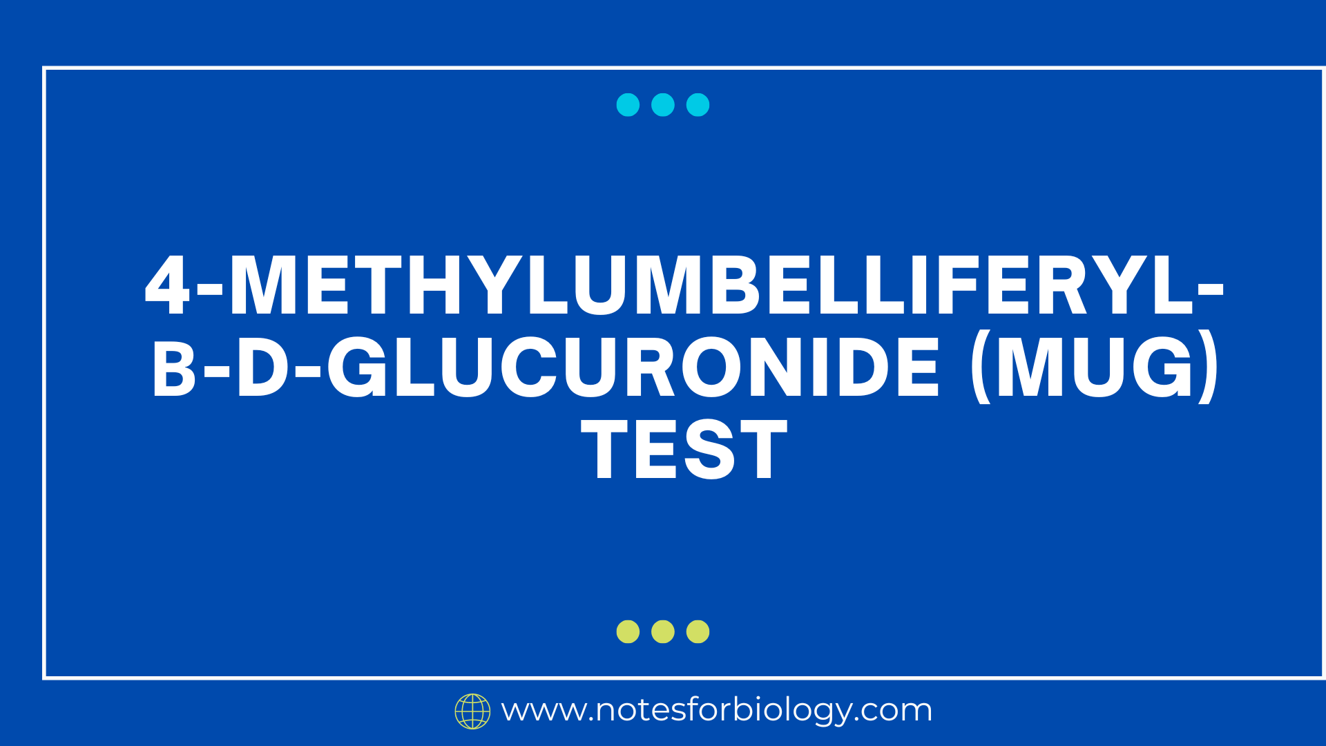 4-Methylumbelliferyl-β-D-Glucuronide Test