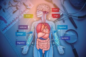 L-Pyrrolidonyl Arylamidase (PYR) test: Principle